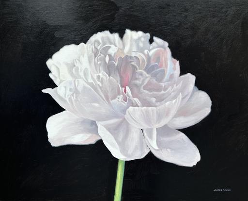 Art Gallery Vancouver – One of the Best Contemporary Art Galleries in ...